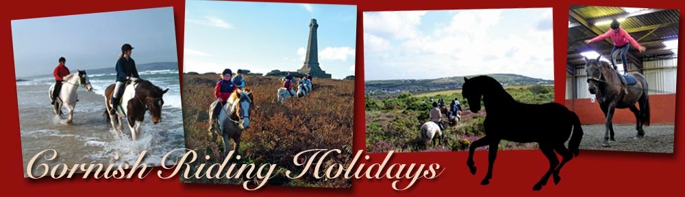 Horse Riding for Adults |Wheal Buller Riding School